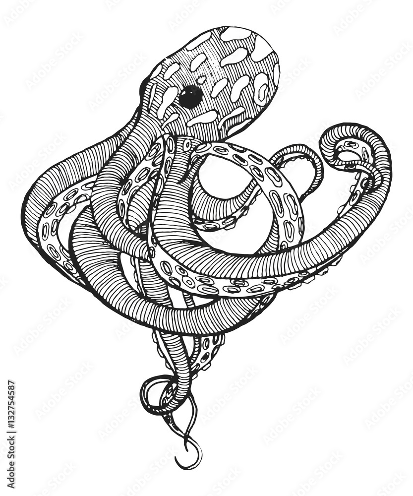 Giant Octopus - Sea Monster. Vintage hand drawn illustration. Stock ...