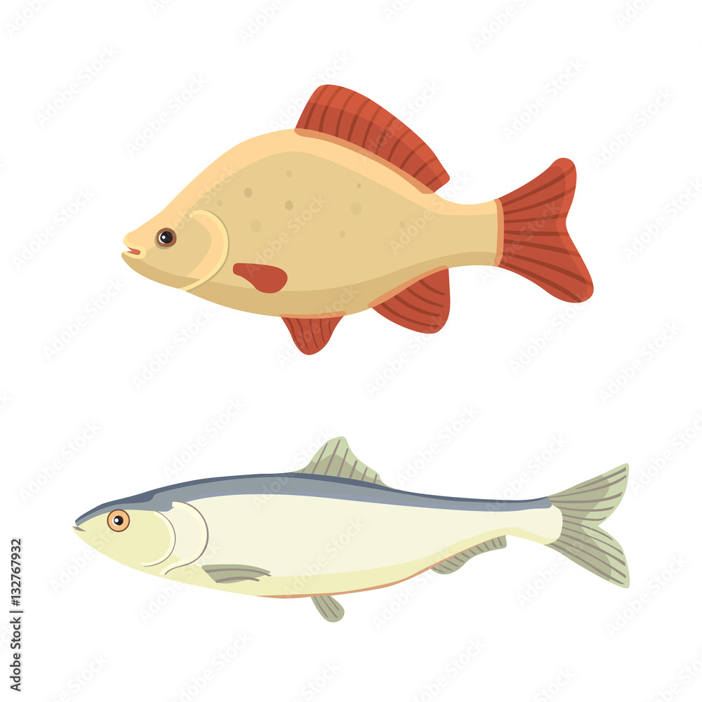 Isolated river fish. Set of freshwater sea cartoon fishes. Fauna ocean ...