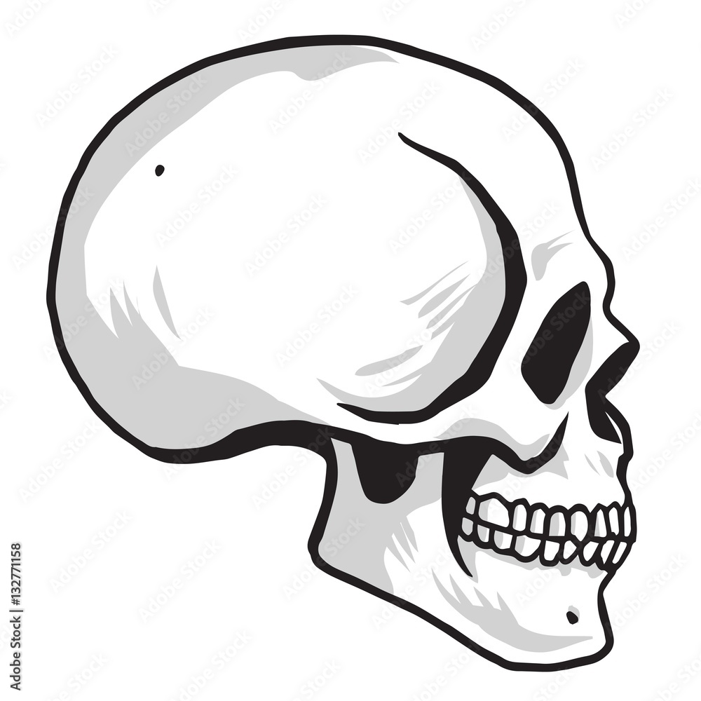 Skull Vector illustration Stock Vector | Adobe Stock