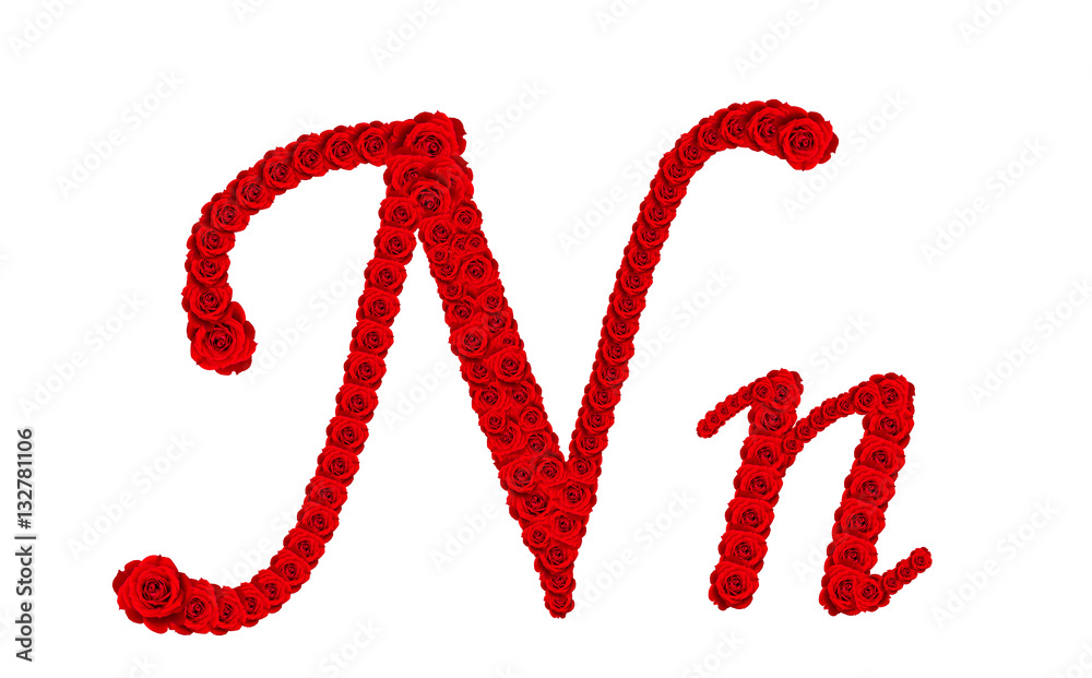 Rose alphabet - Alphabet letter N and n made from red rose blossom ...