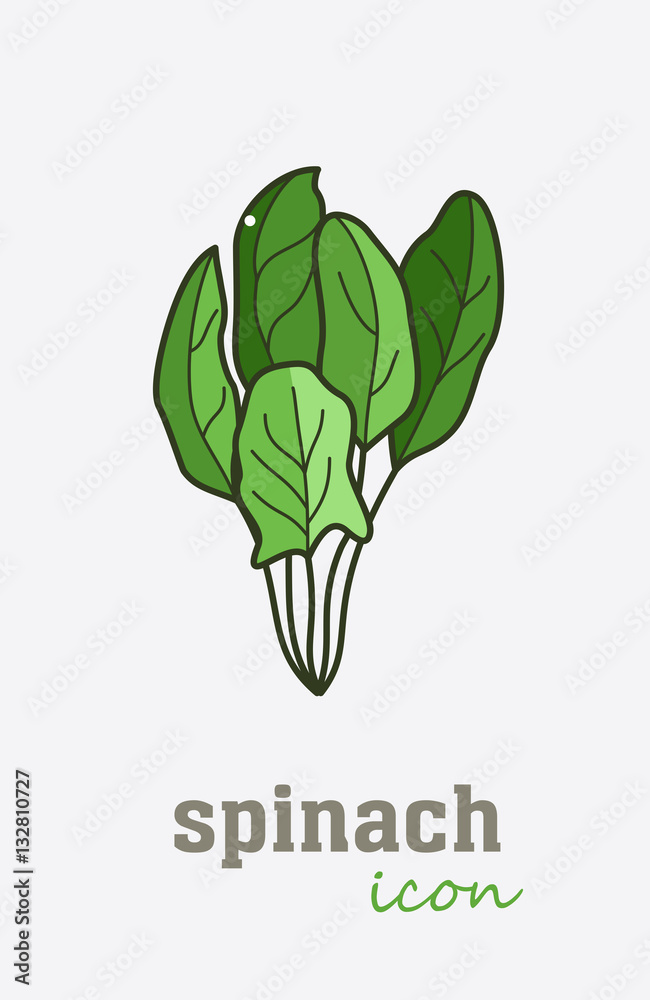 Spinach Vector
