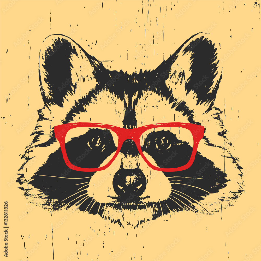 Portrait of Raccoon with glasses. Hand drawn illustration. Vector ...