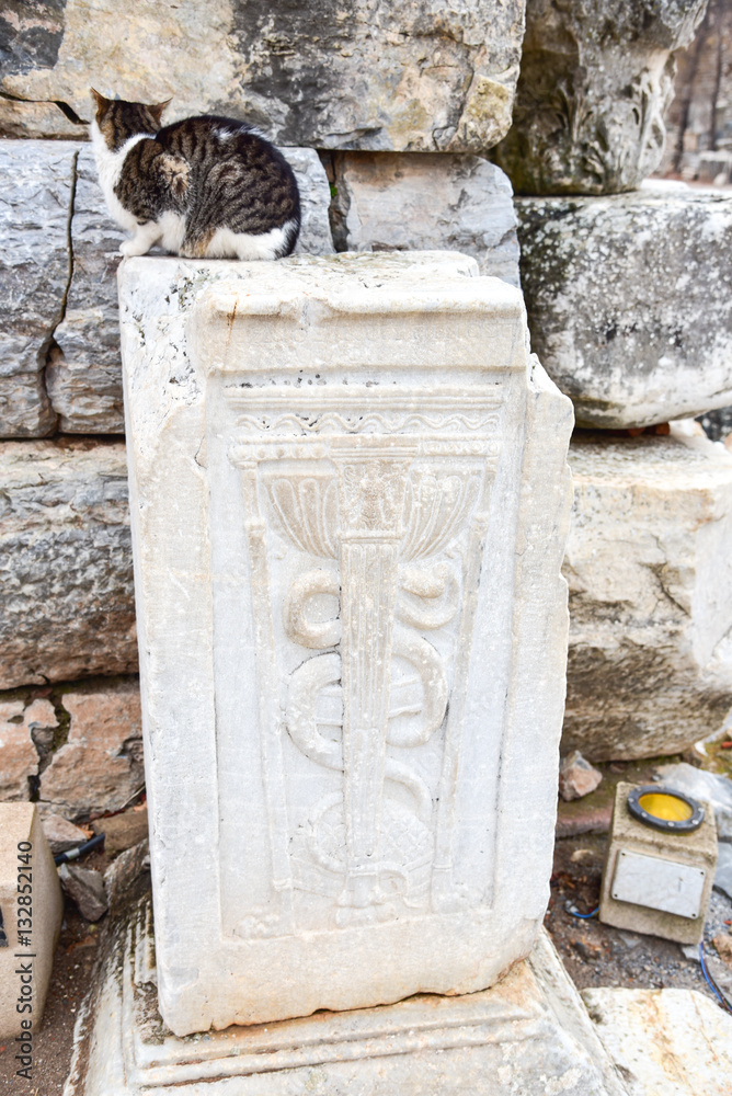 Marble Relief of the Rod of Asclepius, an Ancient Greek Symbol ...