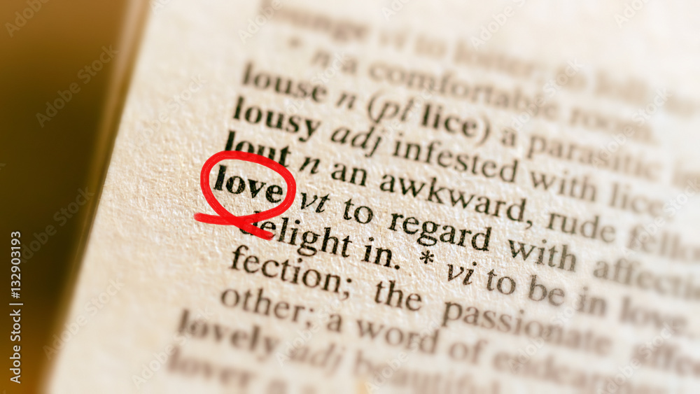 Dictionary Love