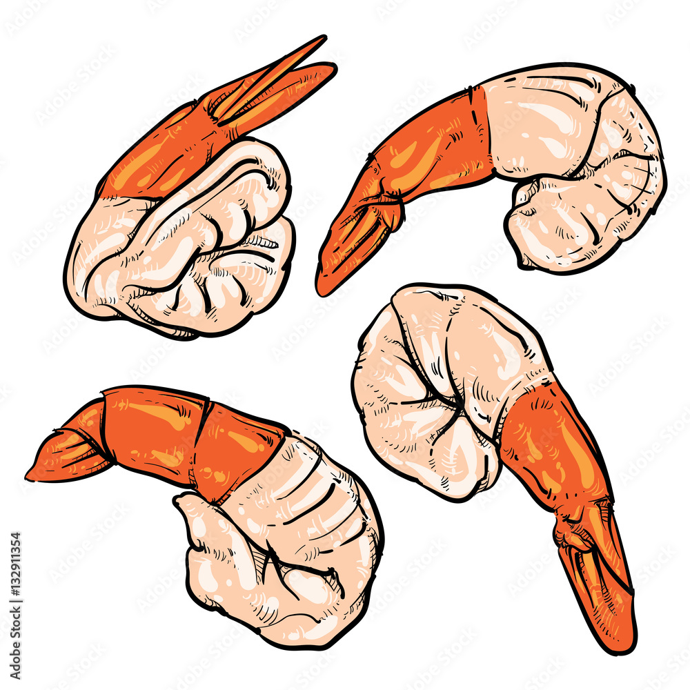 Shrimp Cocktail Vector