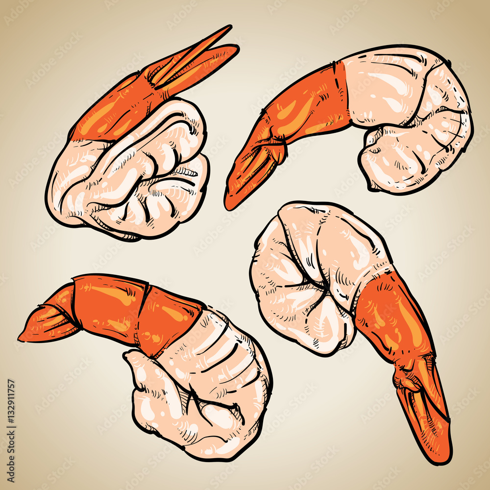 Shrimp cocktail drawing on a vintage background. Hand drawn seaf Stock ...