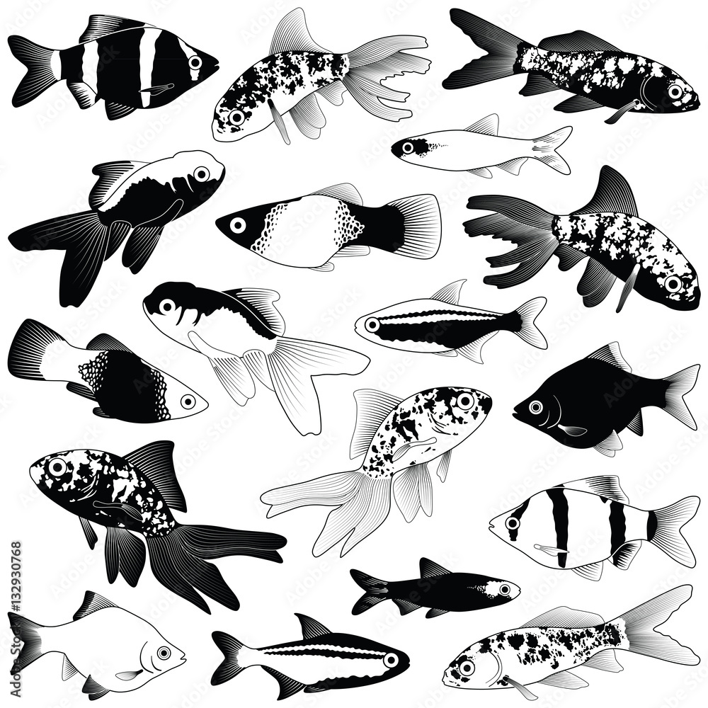 Tropical Fish Silhouette