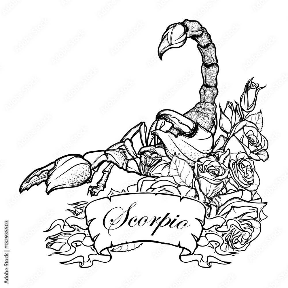 Zodiac sign Scorpio. Detailed realistic scorpio in a decorative frame ...