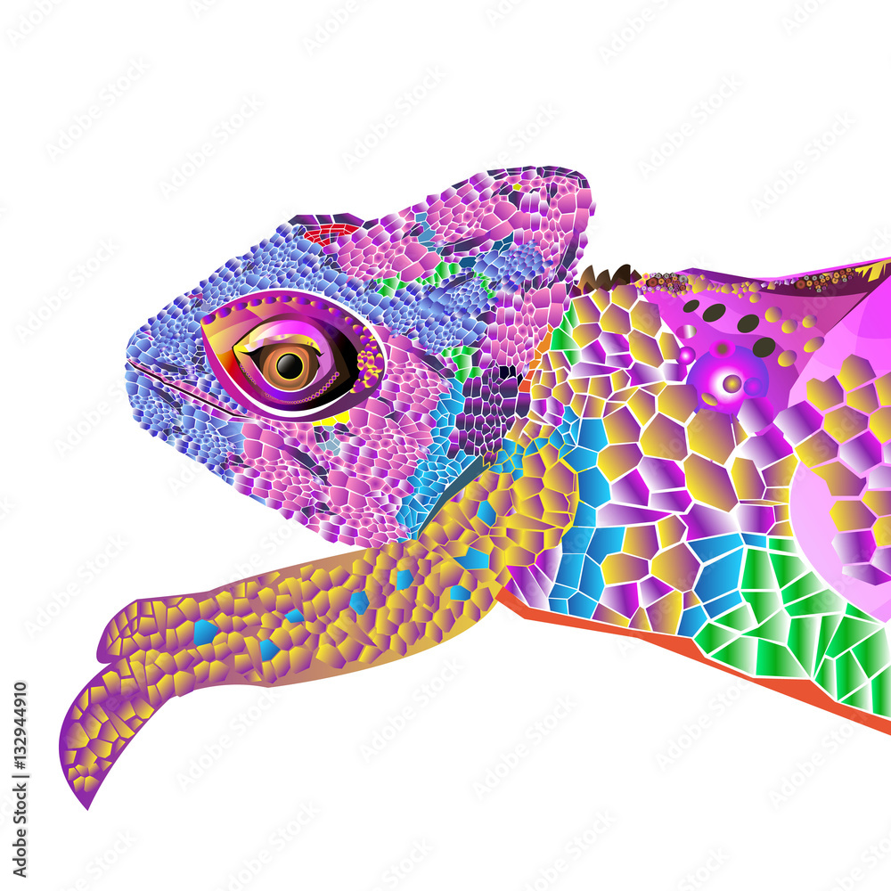 Colorful Chameleon Drawing