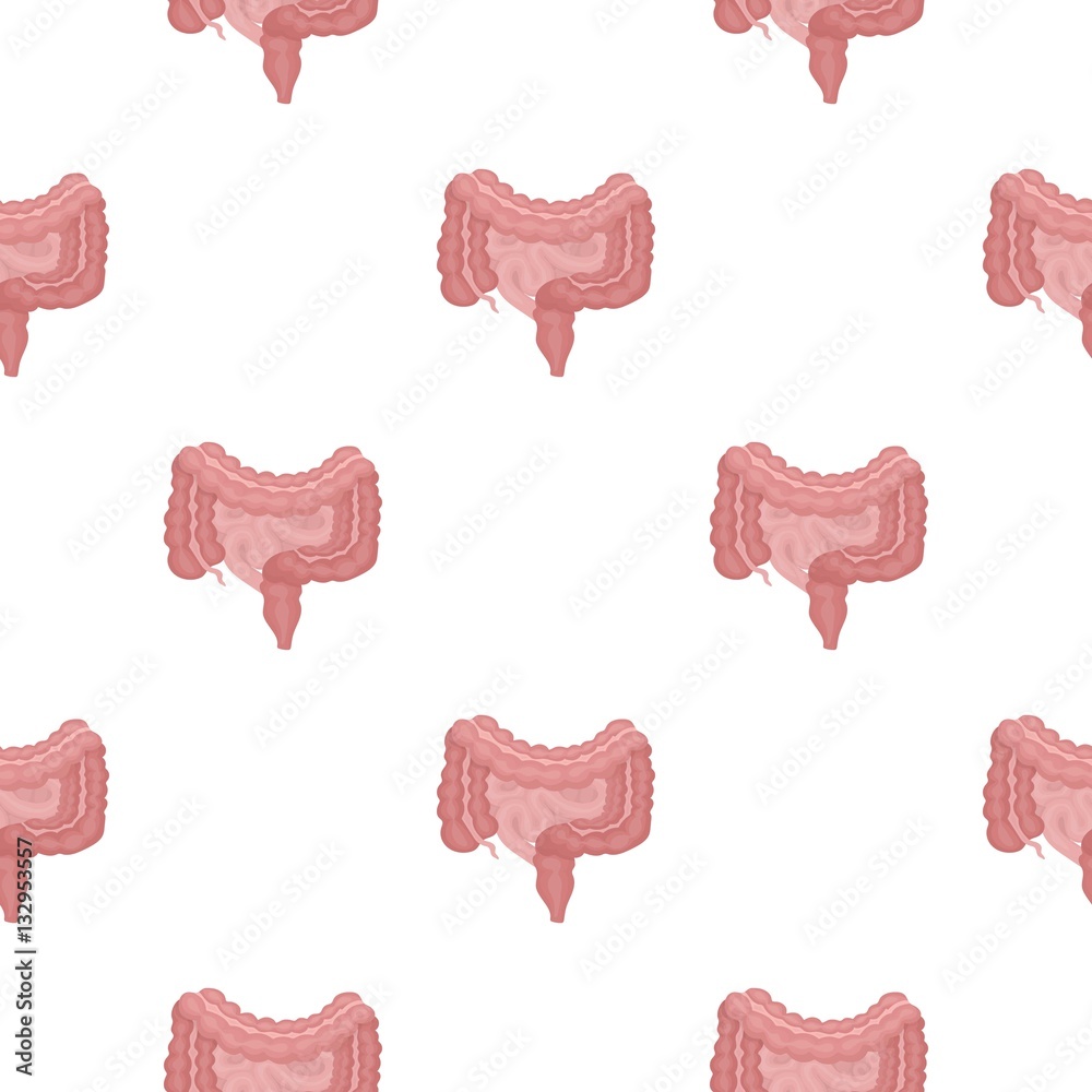 Gastrointestinal tract icon in cartoon style isolated on white ...