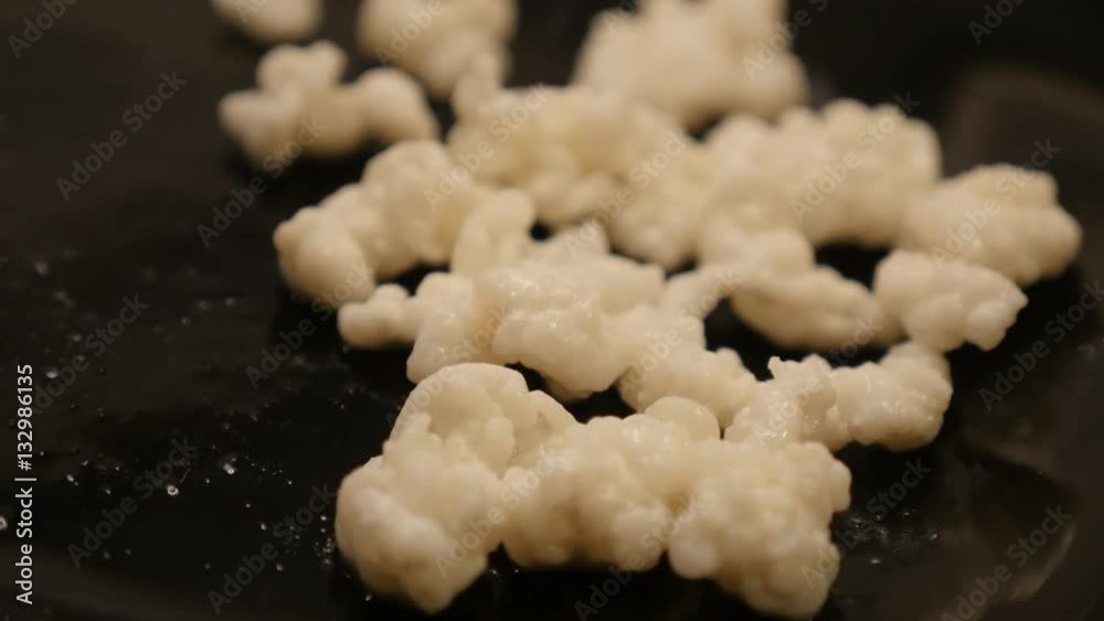 Milk kefir fungus grains bacterial fermentation starter on plate slow ...