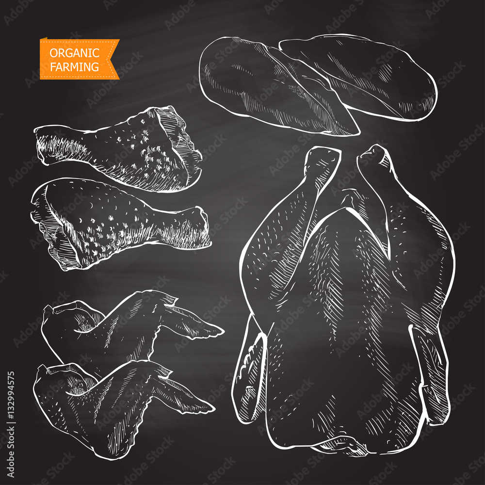 chicken meat vector Stock Vector | Adobe Stock