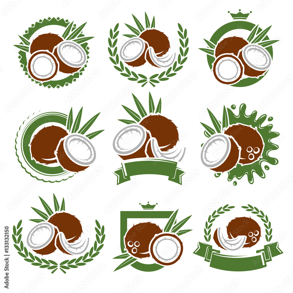 Coconut labels and elements set. Vector Stock Vector | Adobe Stock