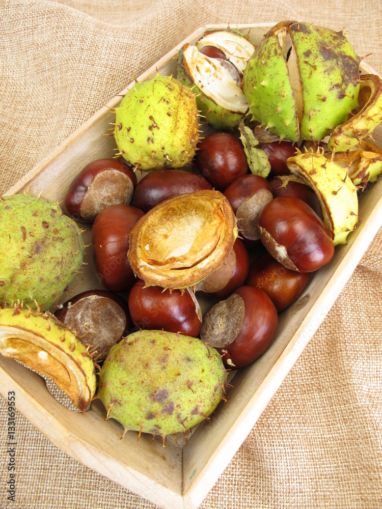 Foto Stock Dekoration mit Kastanien und Kastanienschalen im Herbst ...