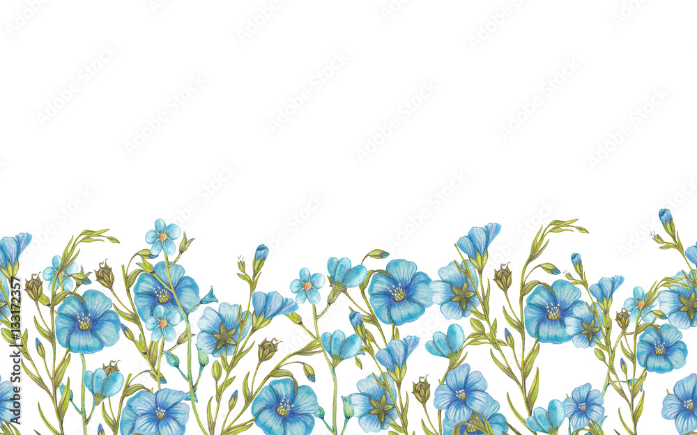 Seamless border of hand drawn flax Stock Illustration | Adobe Stock