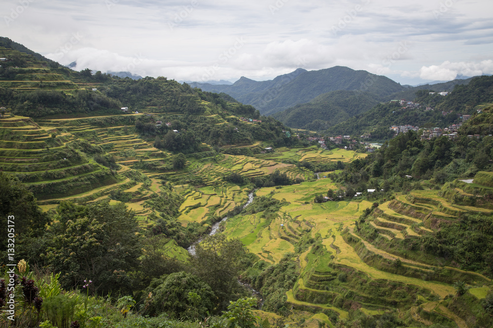 Foto de “Stairway to heaven”, Banaue rice terracces, Rice Terraces of ...