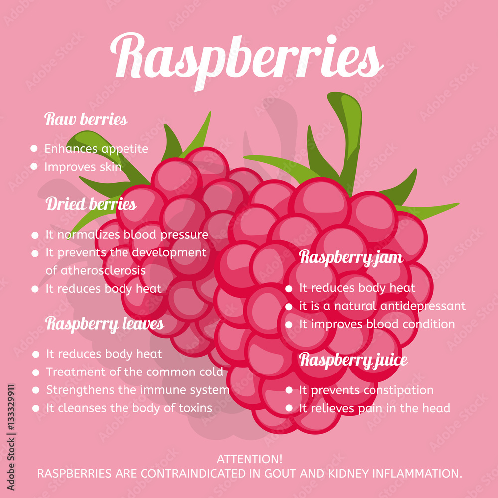 Raspberries benefits. Infographics on a pink background Stock Vector ...