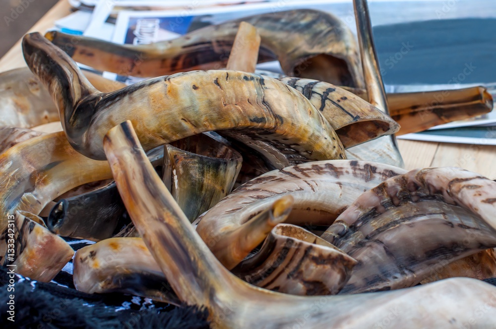 Shofars. Sale of ram's horns in celebration of Rosh Hashanah. Jewish ...