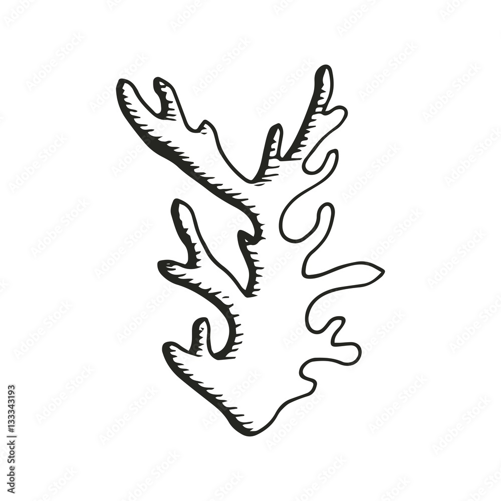 Simple Algae Drawing