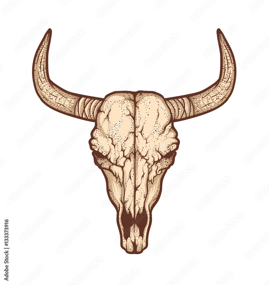 Bull skull native Americans tribal style. Tattoo blackwork. Vector ...
