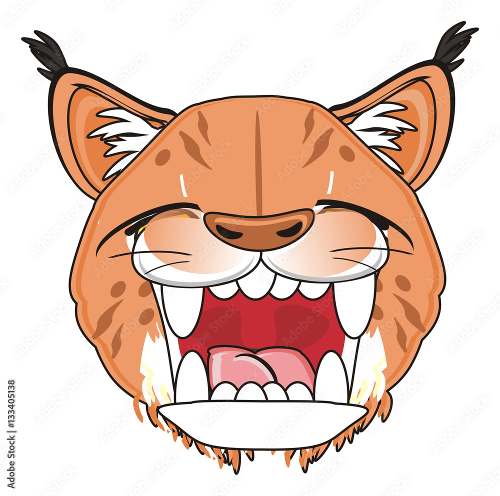 animal, cat, lynx, orange, brush, closed eyes, spots, spotted, zoo ...