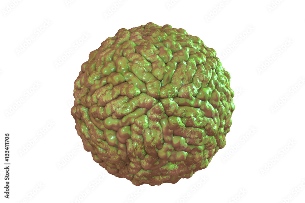 Pegivirus isolated on white background, formely called as Hepatitis G ...