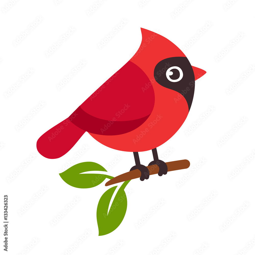 Cardinal Bird Vector