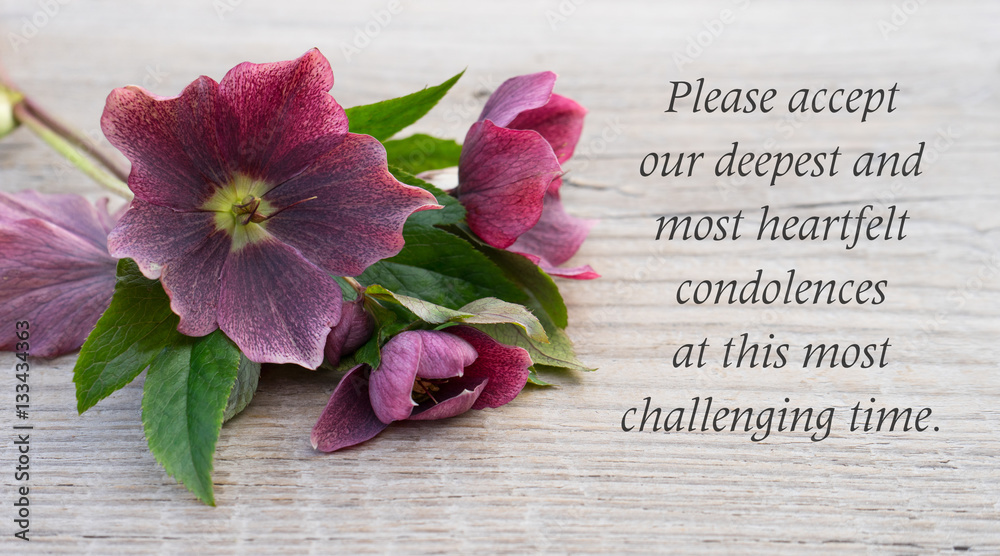 Mourning card / English Mourning card with purple hellebores Stock ...
