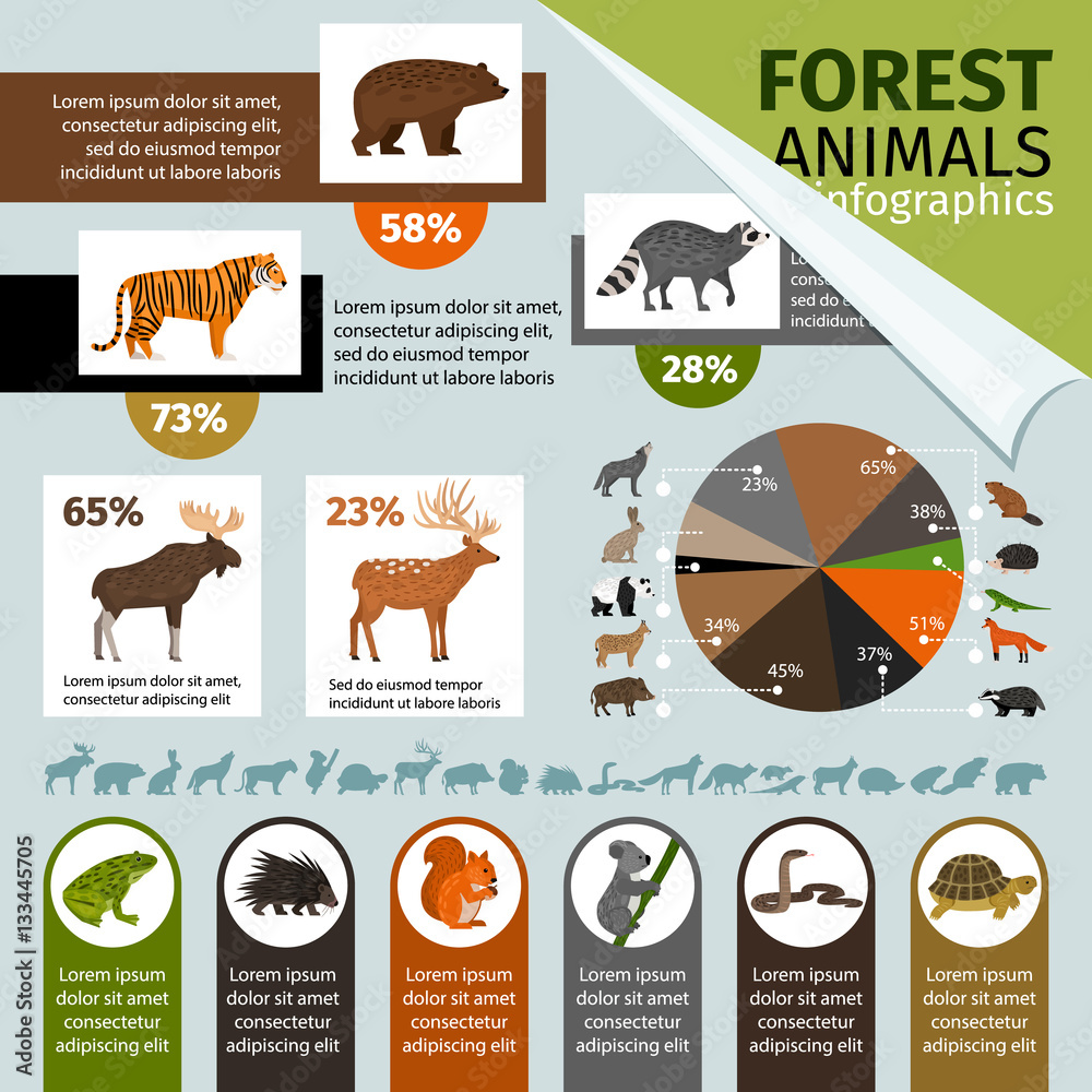 Vettoriale Stock Forest wild animals infographics | Adobe Stock
