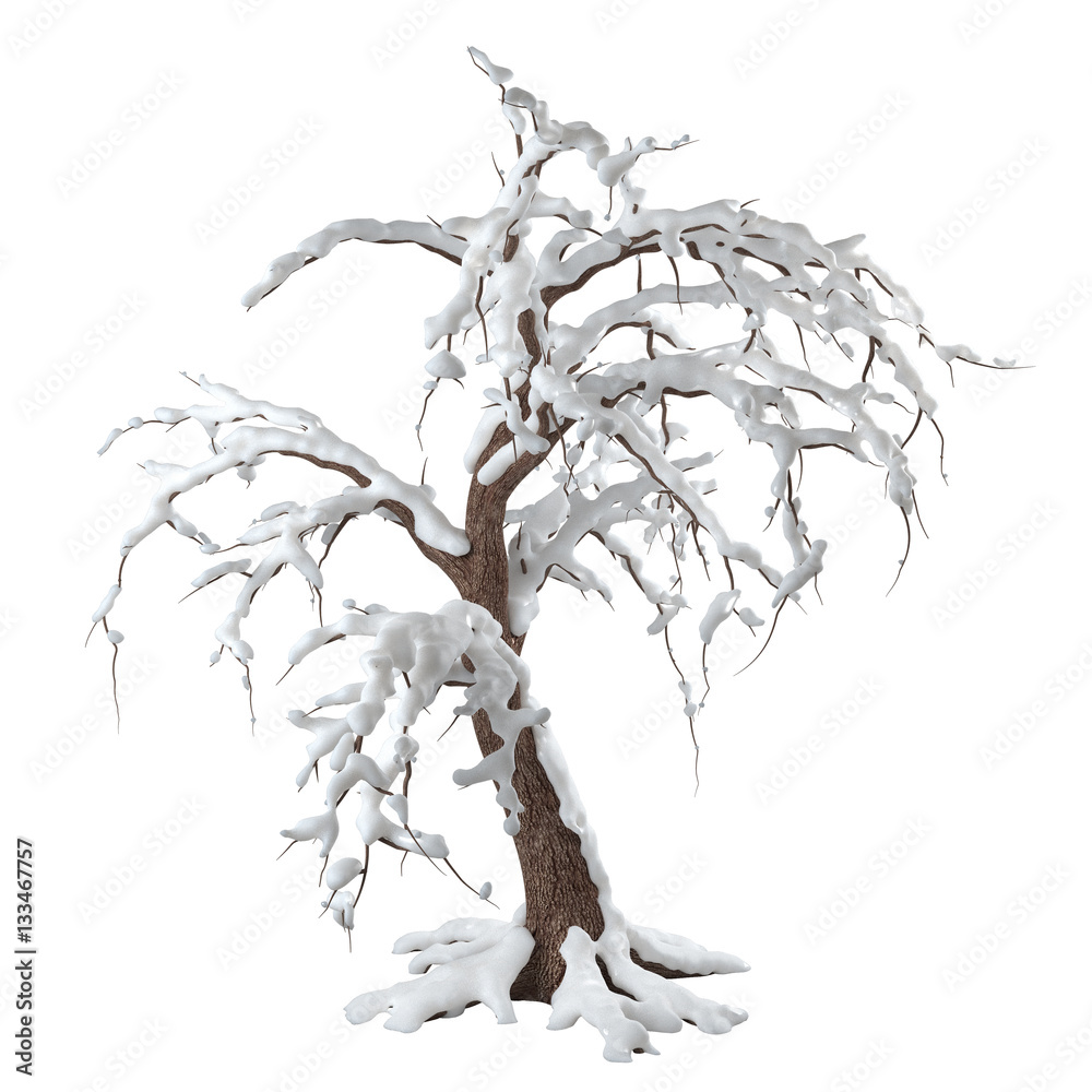 Frosty winter tree with long roots and branches covered with sparkling ...