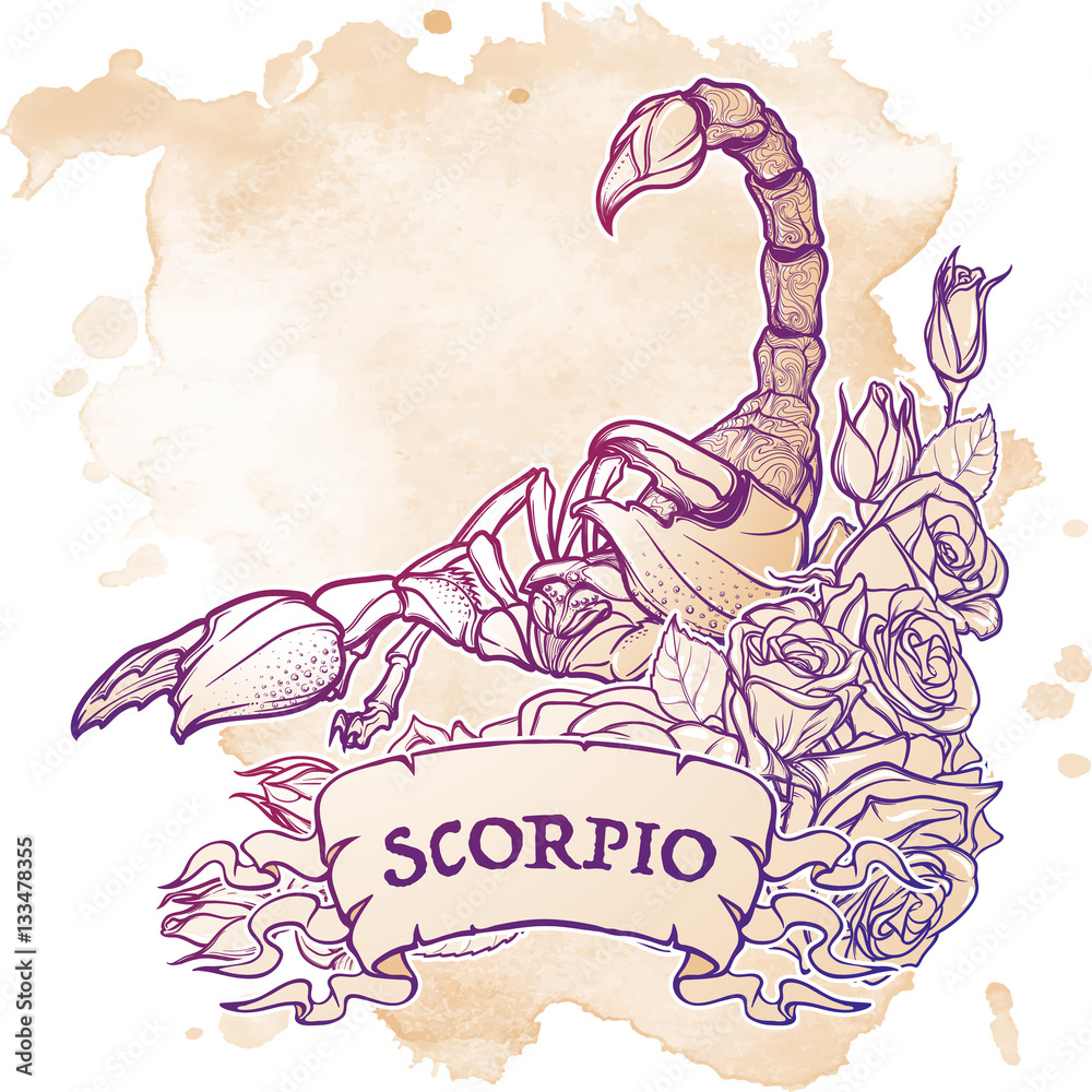 Zodiac sign Scorpio. Detailed realistic scorpio in a decorative frame ...