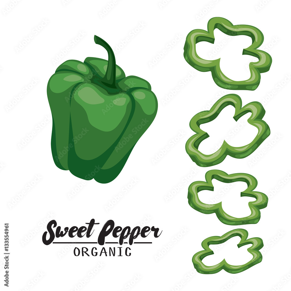 Cartoon sweet pepper. Ripe green vegetable. Vegetarian delicious. Eco ...