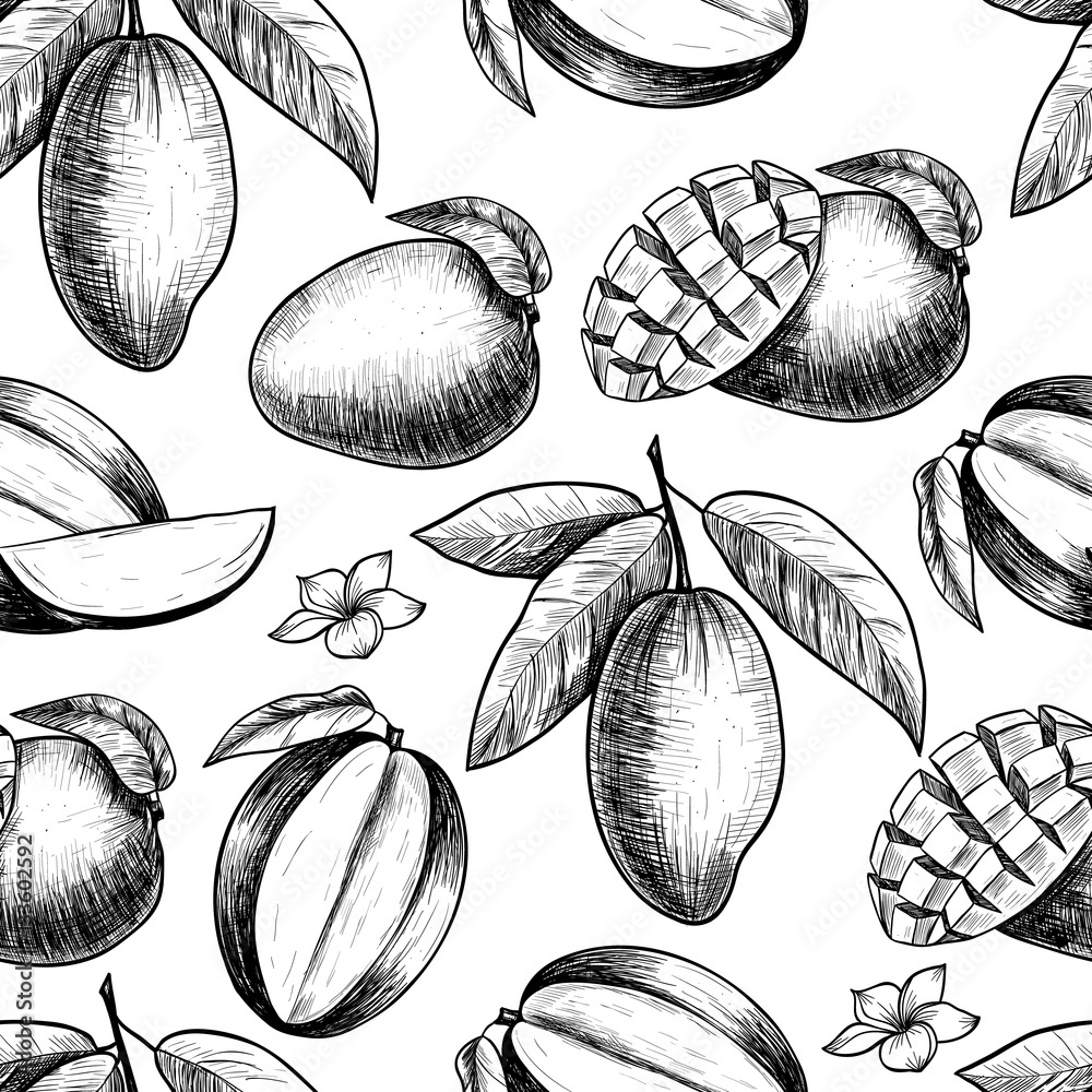 Vector mango hand drawn sketch. Vector seamless pattern. Vintage style ...