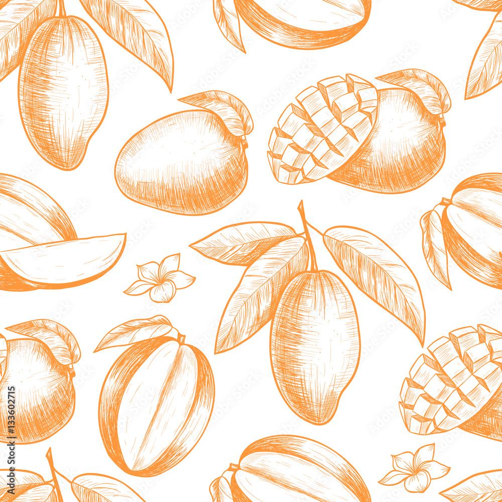 Vector mango hand drawn sketch. Vector seamless pattern. Vintage style ...