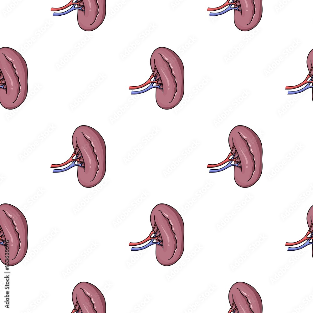 Human kidney icon in cartoon style isolated on white background. Human ...