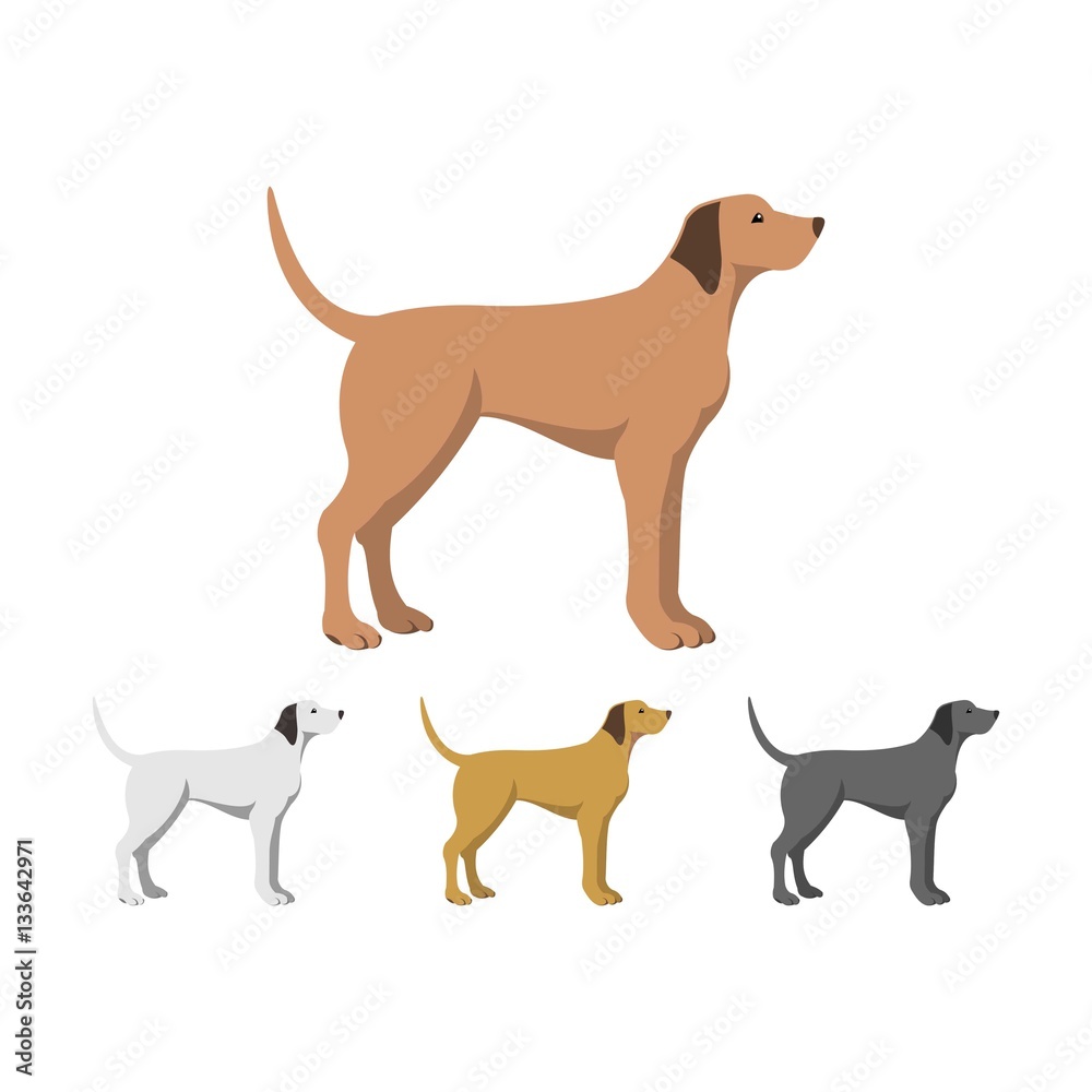 Vector Illustration of Dog Flat Design Set Color Stock Vector | Adobe Stock