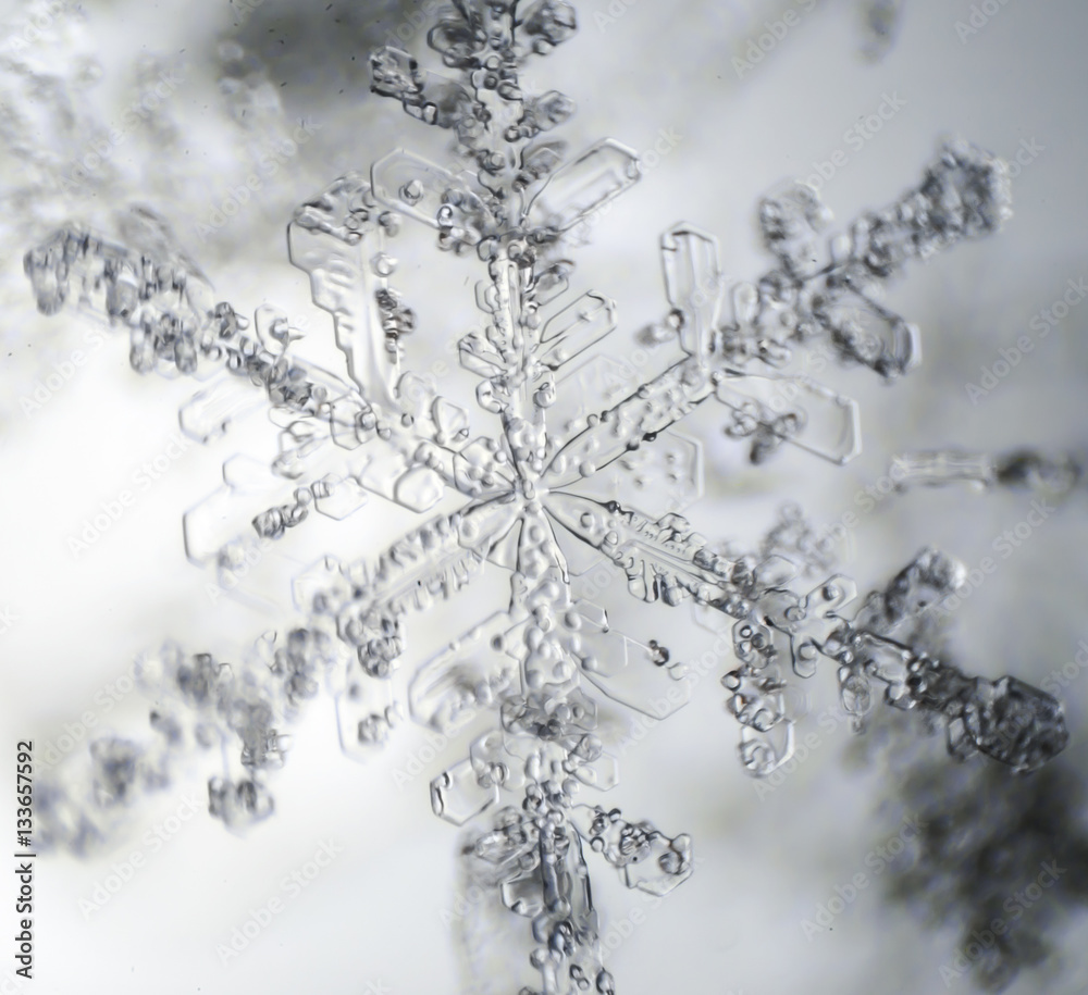 The Microscopic World. Snowflake under microscope. Stock Photo | Adobe ...
