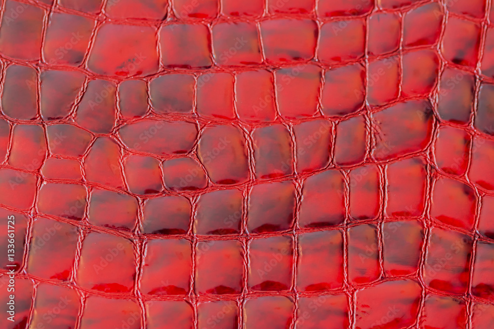 Texture of genuine patent leather close-up, embossed under the skin a ...