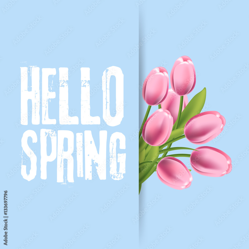 Hello spring. Lettering with hand drawn letters. Label and banner ...