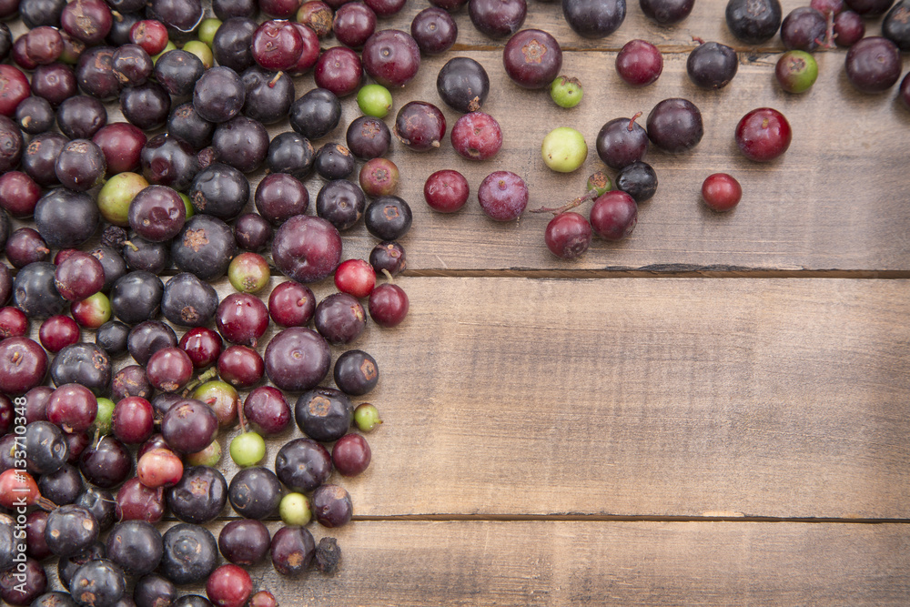 Agráz tropical fruit (Vaccinium meridionale) foto de Stock | Adobe Stock