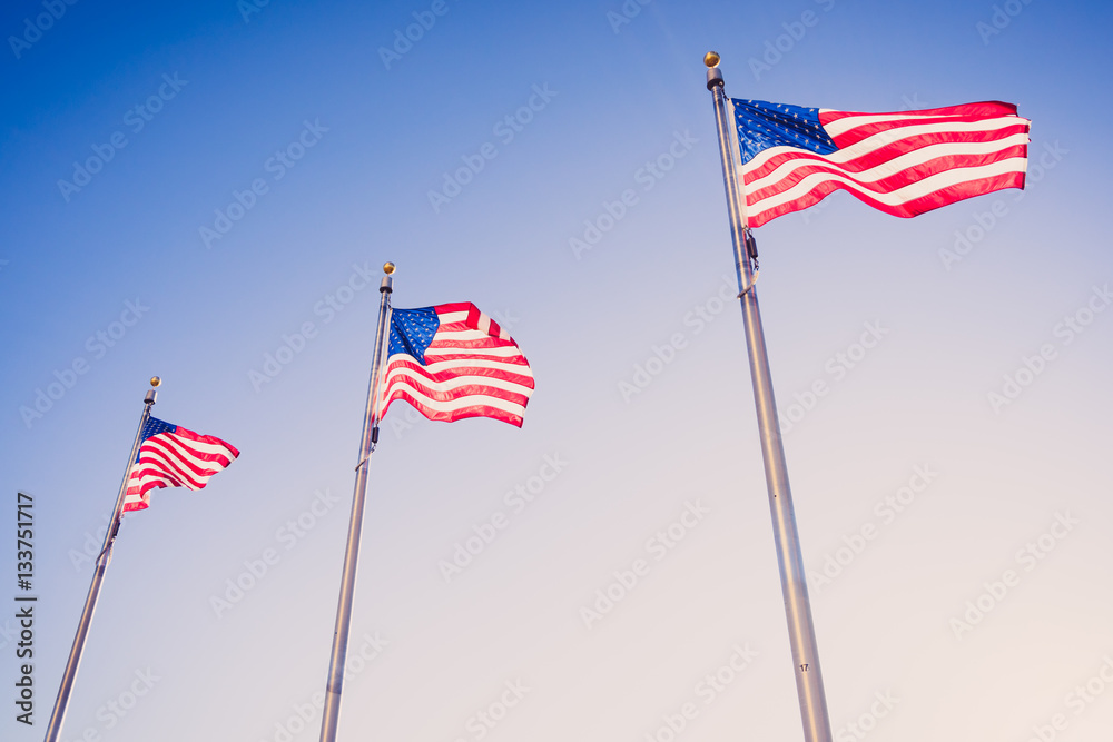 American flags on flagpoles Stock Photo | Adobe Stock