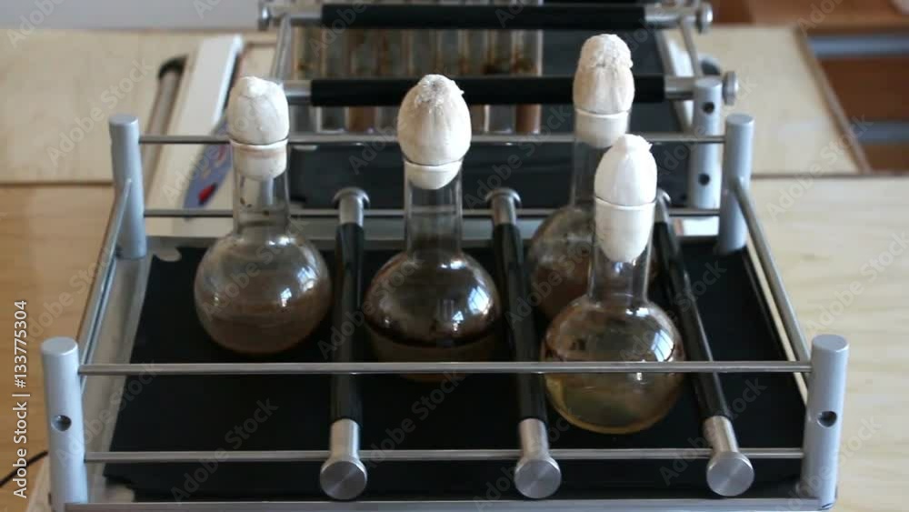 Crude oil degrading bacteria Rhodococcus grow in round flacks and tubes ...