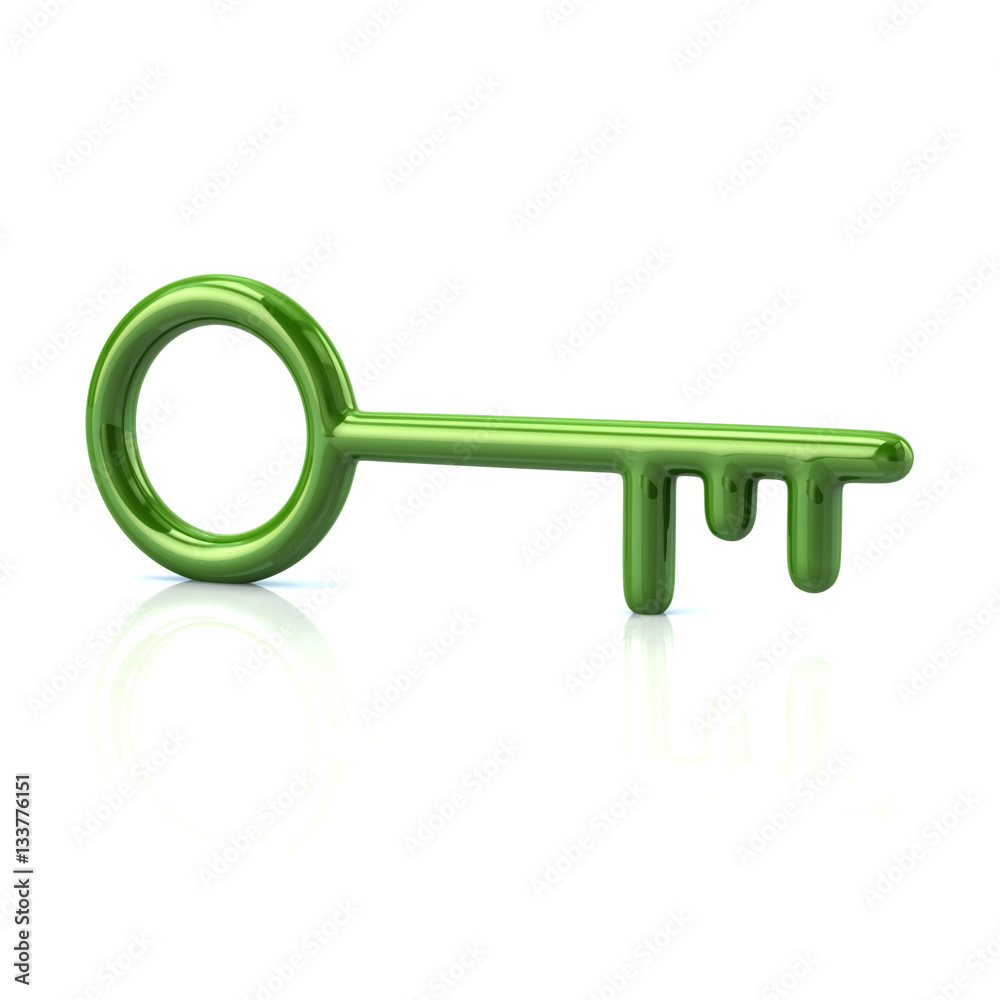 Green key icon Stock Illustration | Adobe Stock