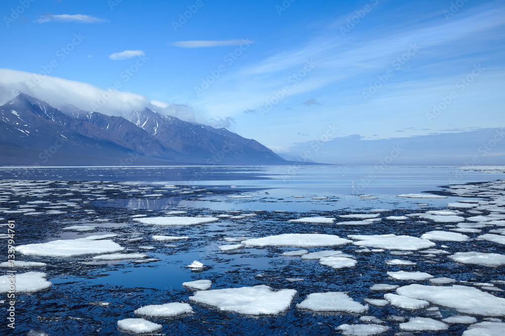 Floating ice on smooth water surface next to the mountains in spring ...