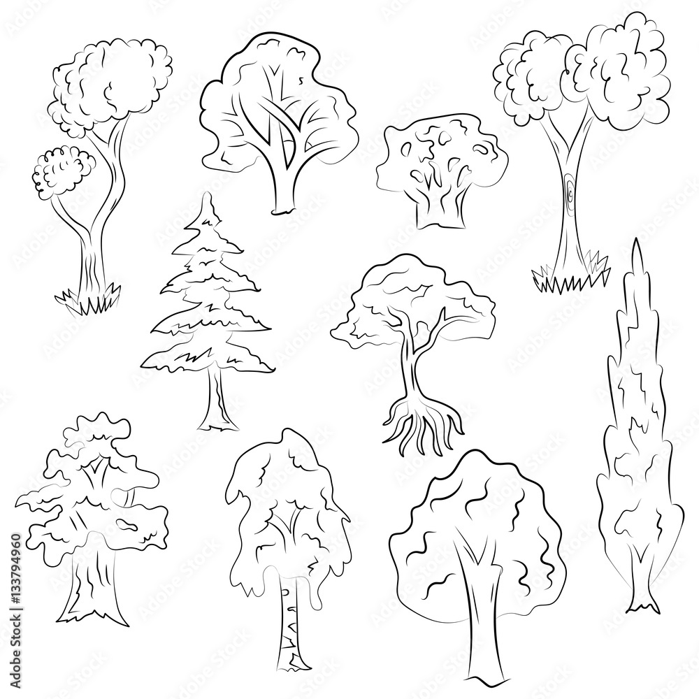 Hand Drawn Set of Trees. Doodle Drawings of Fir, Cypress, Birch, Oak in ...