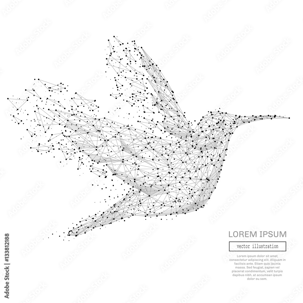 Abstract colibri polygonal, geometry triangle. Light connection ...