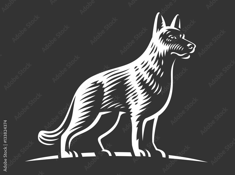 Shepherd dog, vector illustration Stock Vector | Adobe Stock