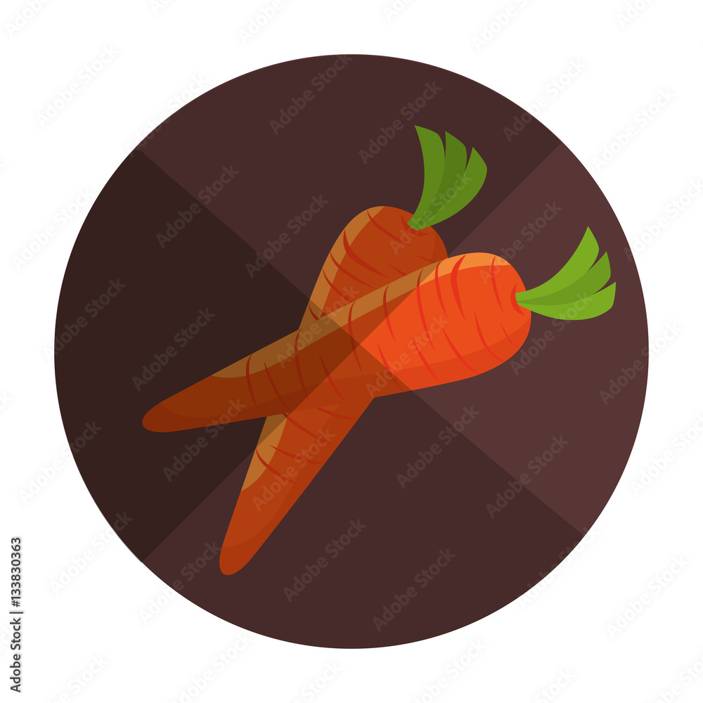 carrot fresh farm product vector illustration design Stock Vector ...