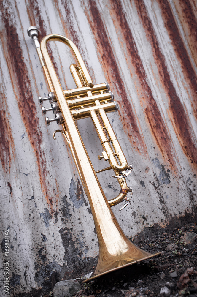 Trumpet Rusty Fence Stock Photo | Adobe Stock