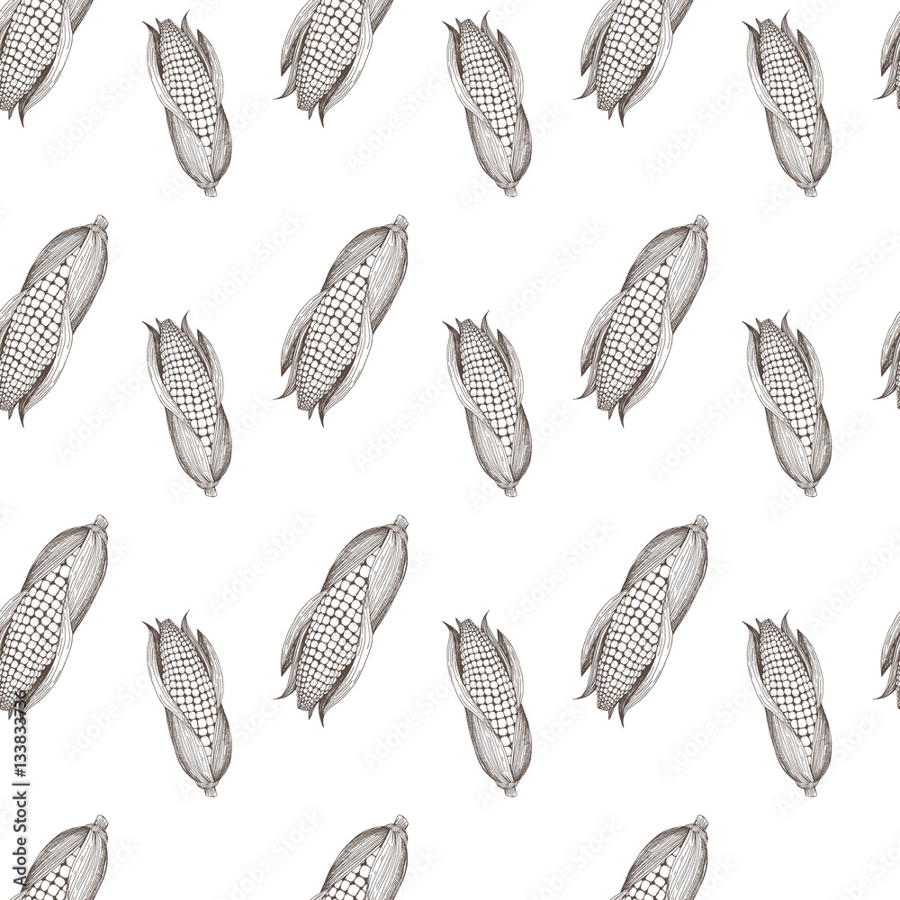 Seamless vector pattern with corn. Design template for wrapping paper ...